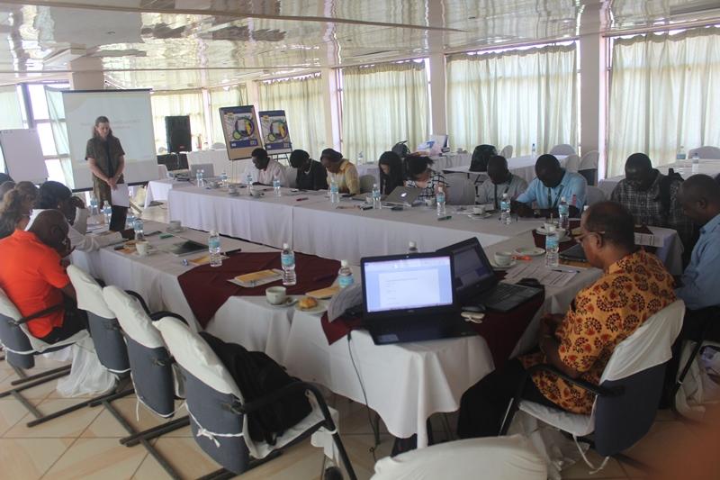 MamaYe featured in workshop to increase RMNCH services | E4A-MamaYe